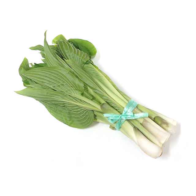 天然うるい 1束（300g前後）